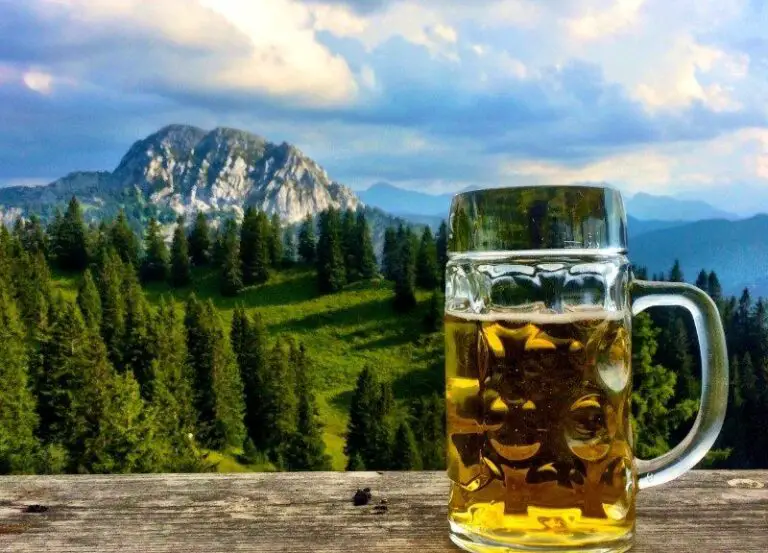 Top 10 Austrian Beers You Should Try