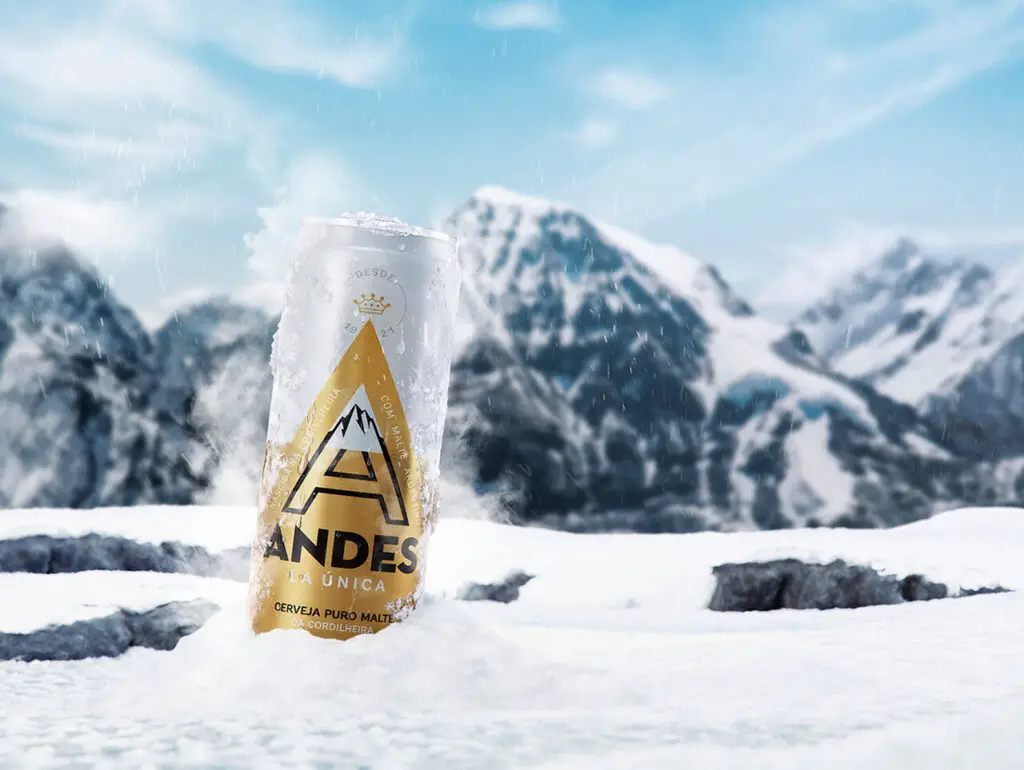 Top 10 Best Argentinian Beers To Try in 2023