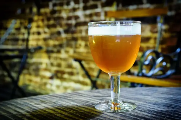Top 10 Best Witbier Beer Brands To Try in 2023