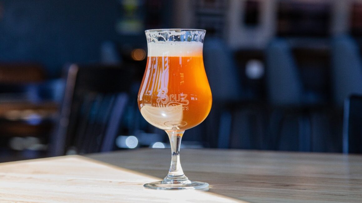 Top 10 Best IPA Beer Brands Worldwide