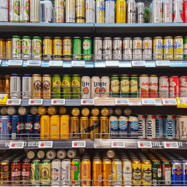 Top 10 Best Beer Can Brands