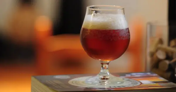 Top 10 Best Pale Ale Beer Brands To Try in 2023