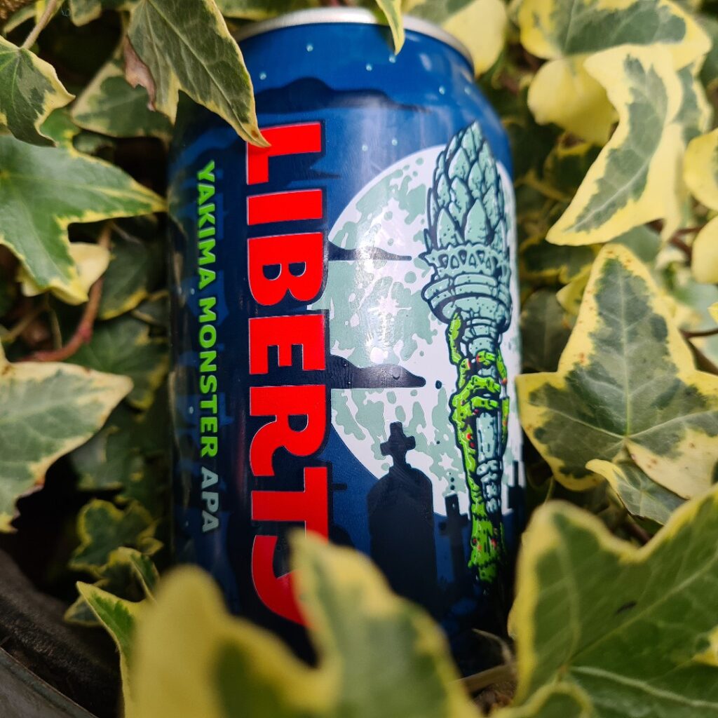 The 10 Best New Zealand Beer Brands To Try in 2023