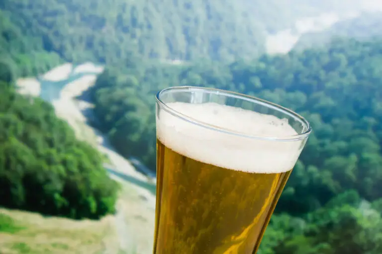 Top 10 Best Beers for Spring You Need To Try