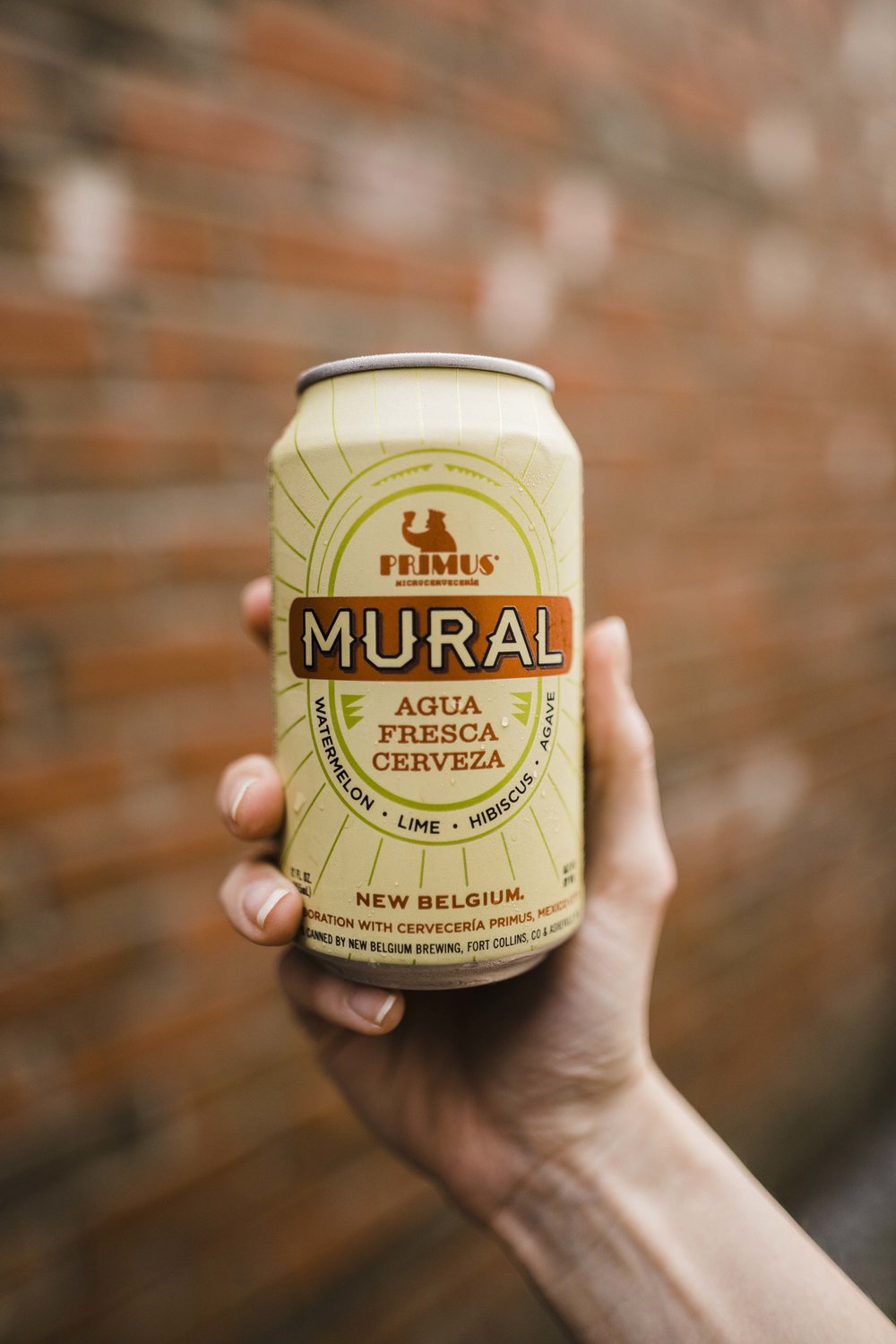 Top 10 Best Beers for Spring You Need To Try