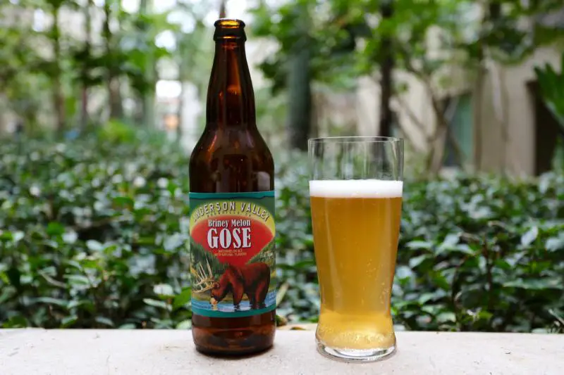 Top 10 Best Beers for Spring You Need To Try