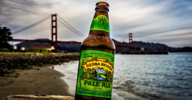 Top 10 Best Beers for Spring You Need To Try