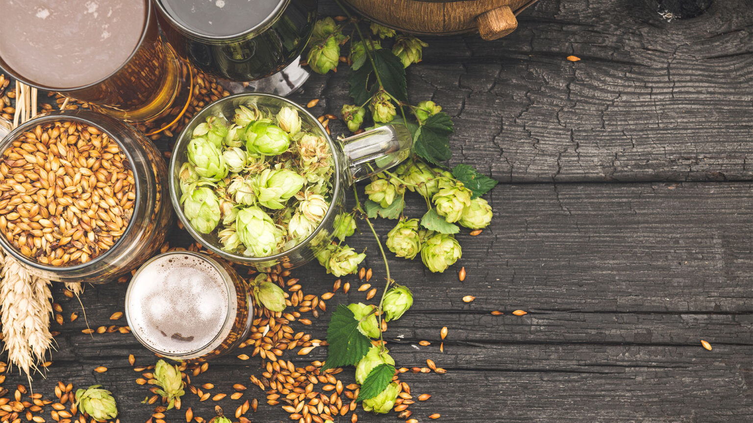 What Is Beer Made Of? The Ingredients and Brewing Process