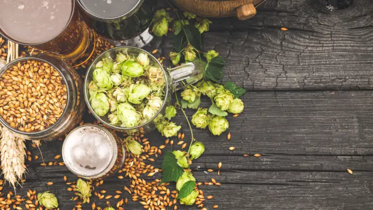 What Is Beer Made Of? The Ingredients and Brewing Process