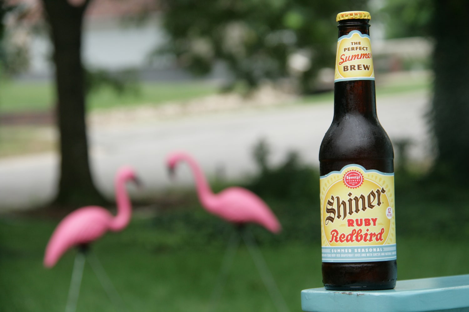 Top 10 Best Beer Brands for Ladies