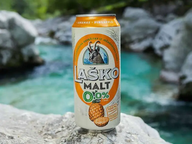 Top 10 Best Slovenian Beer Brands To Try in 2023