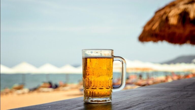 Top 10 Best Kenya Beer Brands To Try in 2023