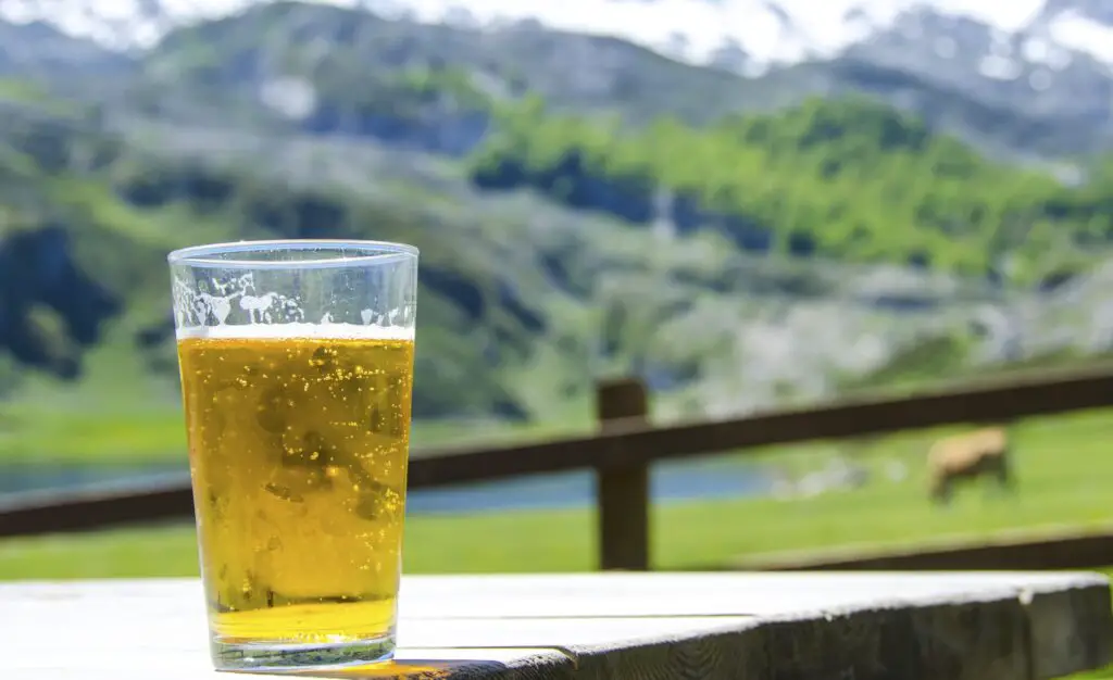 Top 8 Best Non-Alcoholic Organic Beers