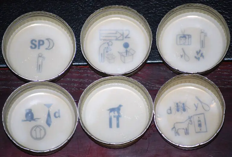 Mickey’s Beer Puzzles: Under the Cap Enigmas You Will Love