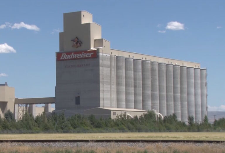 Where Is Budweiser Made?