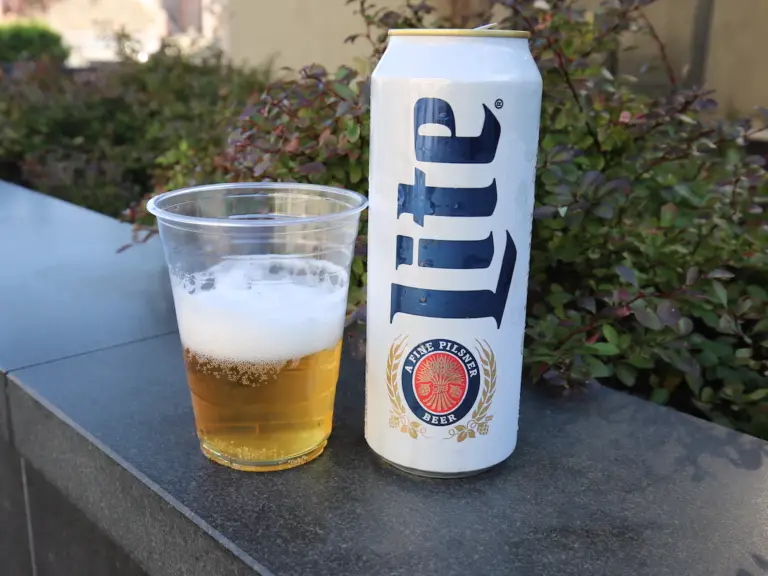 9 Best Tall Boy Beer Brands To Try in 2023
