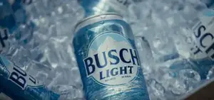 Top 10 Most Popular American Light Lager Beer Brands