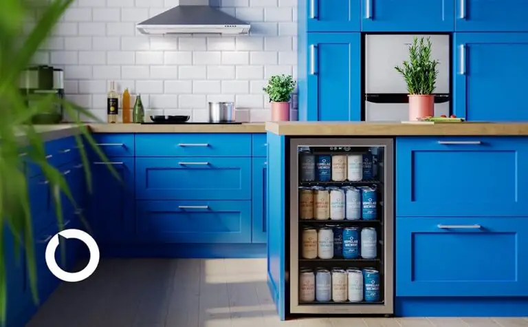 10 Best Beer Fridges: Perfect Solution for Beer Lovers