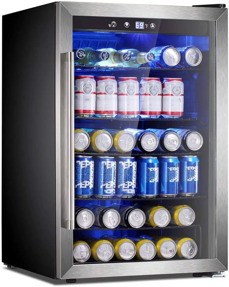 10 Best Beer Fridges: Perfect Solution for Beer Lovers