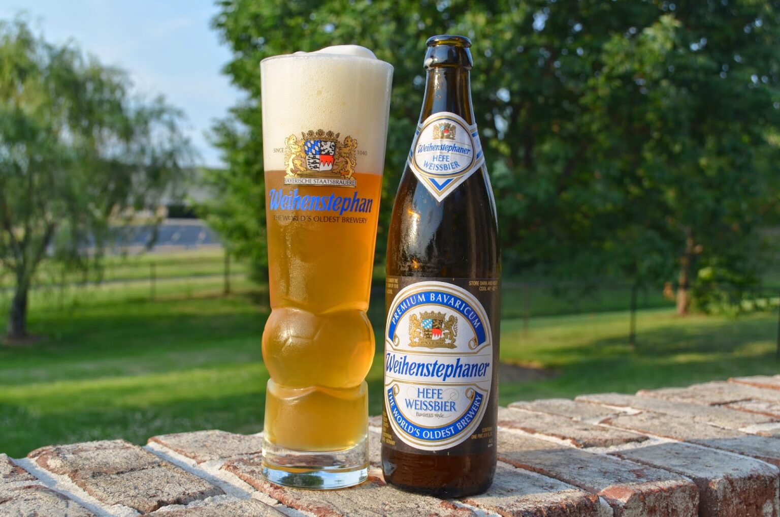 8 Best Beers for Radler: Making the Perfect Radler
