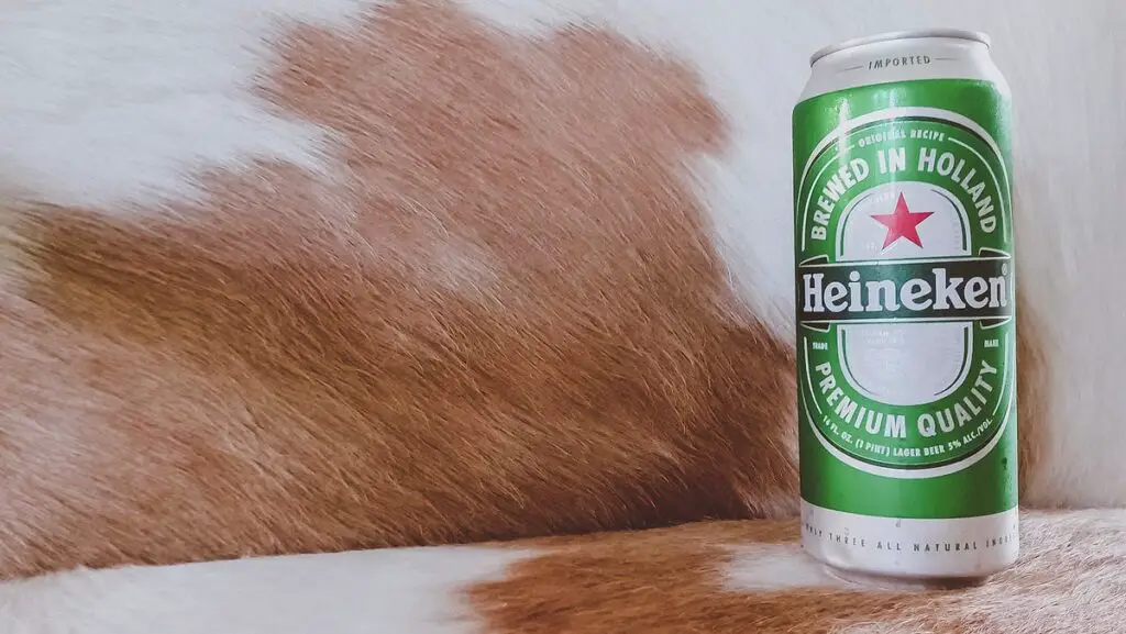 9 Best Tall Boy Beer Brands To Try in 2023