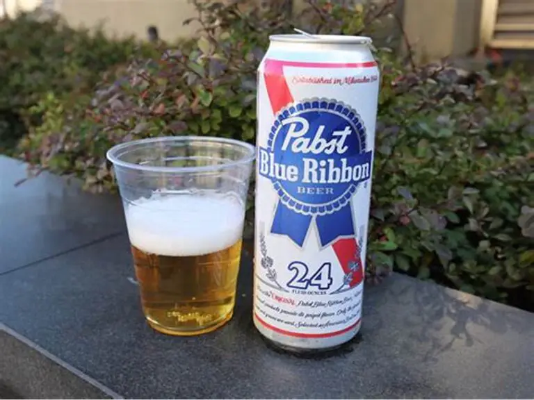9 Best Tall Boy Beer Brands To Try in 2023