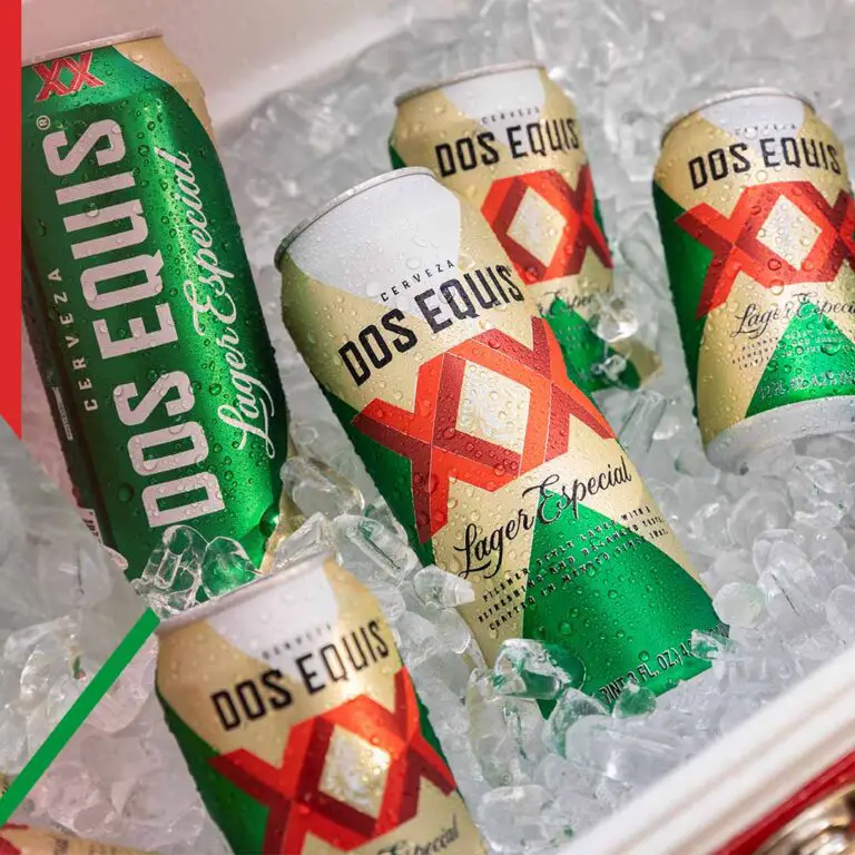 9 Best Tall Boy Beer Brands To Try in 2023