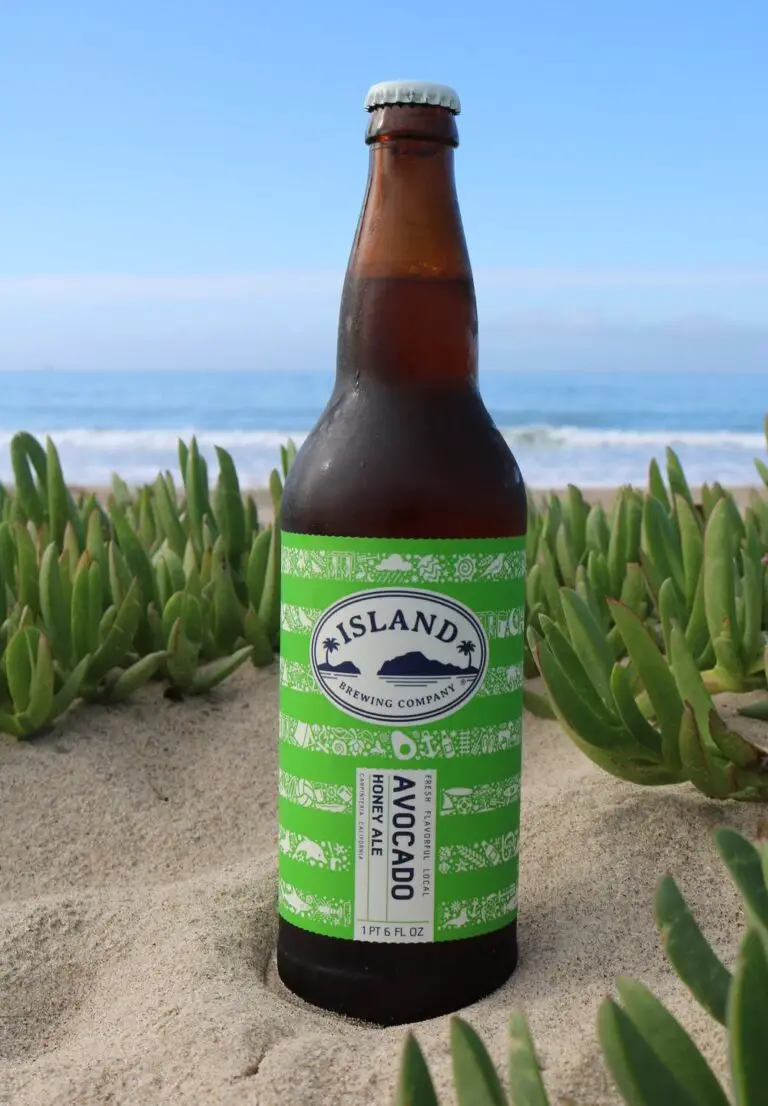 Top 20 Weird Flavored Beers