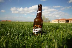7 Best Turkish Beers