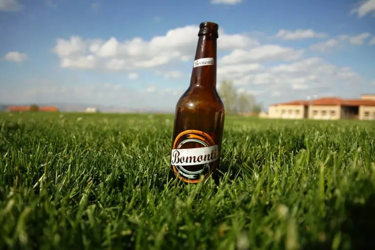 7 Best Turkish Beers
