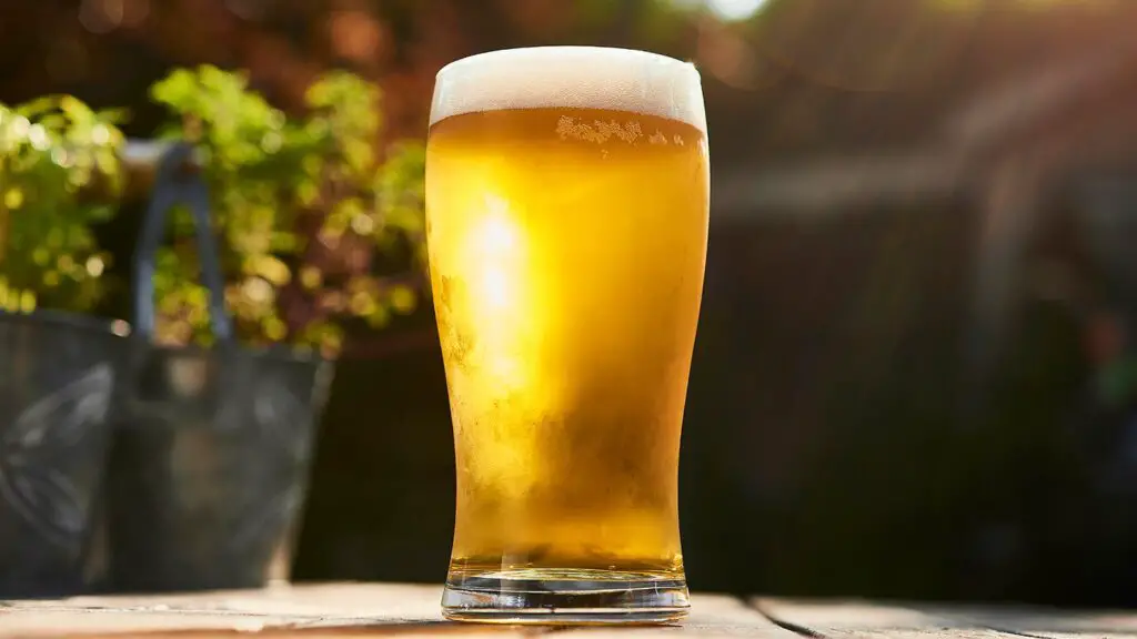 40 Best Drunk Foods: Satisfy Your Late-Night Hunger - The Beer Exchange